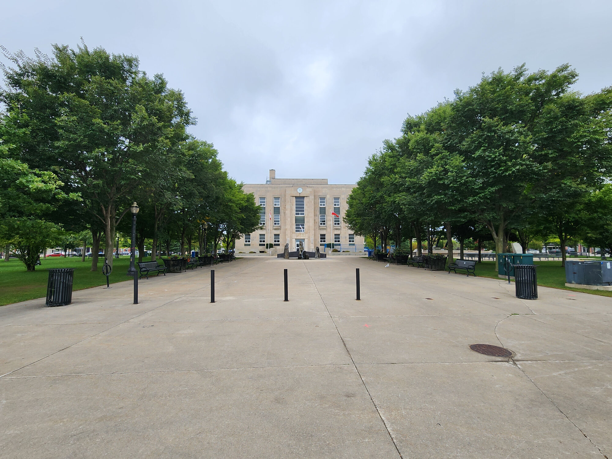 The Trees of Courthouse Park
